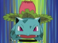 Grove | PokéFanon | Fandom