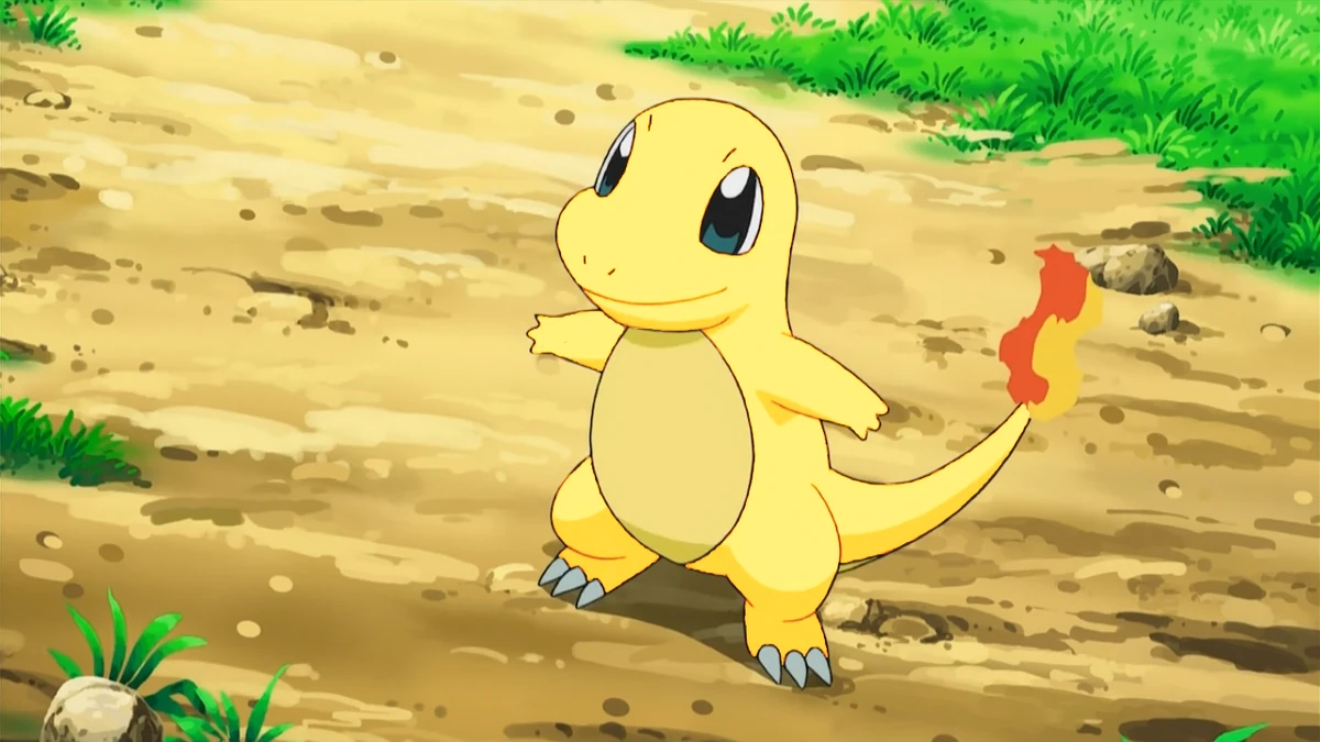 June's Charizard (Forever) | PokéFanon | Fandom