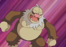 Bruno | PokéFanon | Fandom