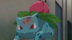 Ash's Ivysaur (Gobstop) | PokéFanon | Fandom