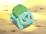 Ash's Bulbasaur (Master) | PokéFanon | Fandom