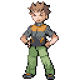 Brock | Pokémon Fire Ash Wiki | Fandom