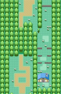 Kanto Route 2 | Pokémon Fire Ash Wiki | Fandom