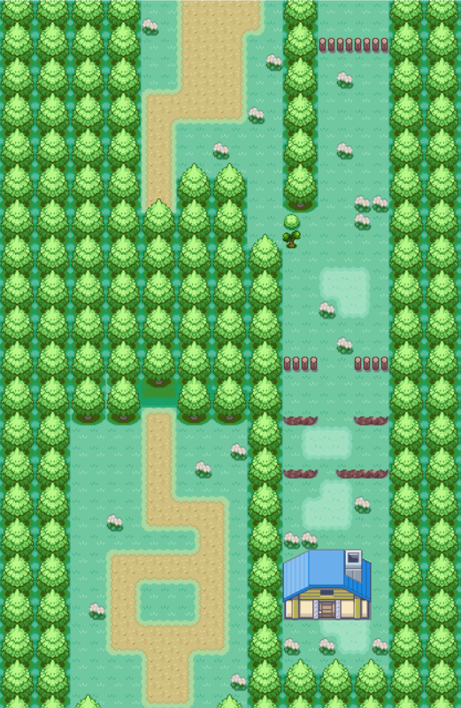 Kanto Route 2 | Pokémon Fire Ash Wiki | Fandom