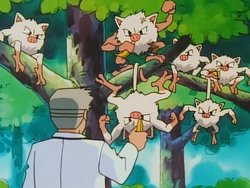 Mankey (Pokémon) | Pokémon Fire Ash Wiki | Fandom