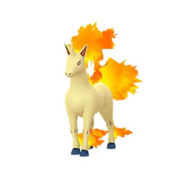 Rapidash 진화