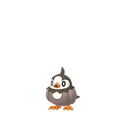 Starly | Pokémon GO Wiki | Fandom