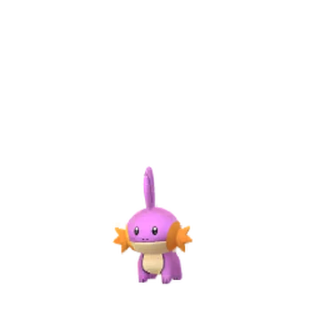 Mudkip Skitty De Ninetales