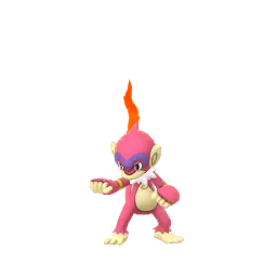 Monferno | Pokémon GO Wiki | Fandom
