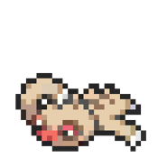 Slakoth | Pokémon GO Wiki | Fandom