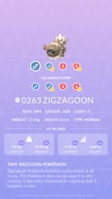 Zigzagoon | Pokémon GO Wiki | Fandom