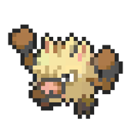 Primeape | Pokémon GO Wiki | Fandom