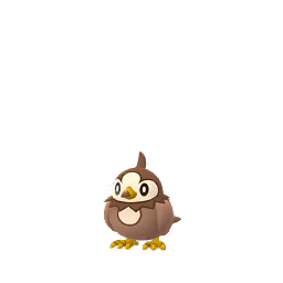 Starly | Pokémon GO Wiki | Fandom