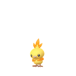 Torchic | Pokémon GO Wiki | Fandom