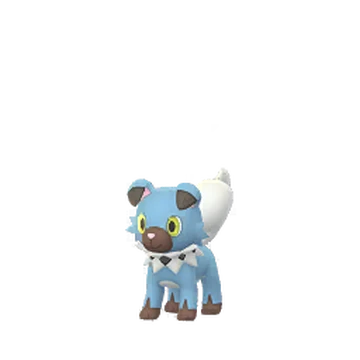 Shiny Rockruff 406 Encounters Live Reaction Pokemon