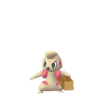 Pokemon Timburr Evolution