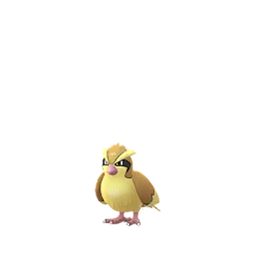 Pidgey Evolution Chart Names