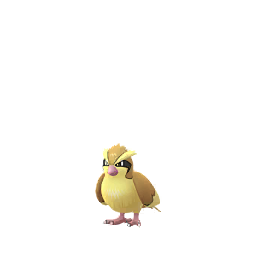 Pidgey | Pokémon GO Wiki | Fandom