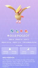 Pidgeot | Pokémon GO Wiki | Fandom