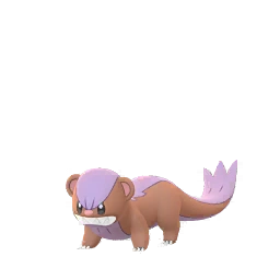 Yungoos | Pokémon GO Wiki | Fandom