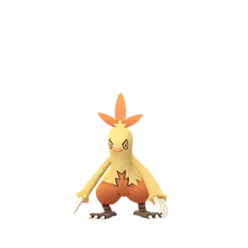 Combusken Pokemon Evolution