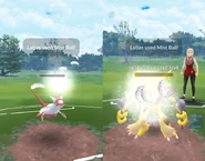 Mist Ball | Pokémon GO Wiki | Fandom