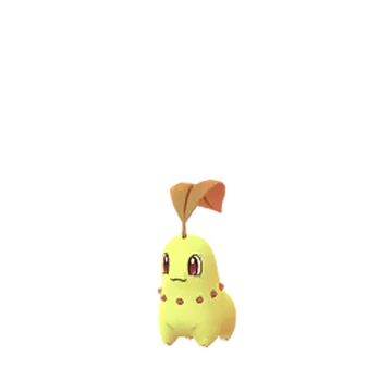 Chikorita Evolution Chart Chikorita | Pokémon Wiki | Fandom