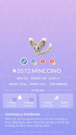 Minccino Evolution Chart