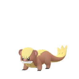 Yungoos | Pokémon GO Wiki | Fandom