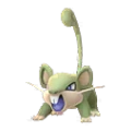 Rattata - Pokémon GO Wiki