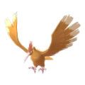 Fearow - Pokémon GO Wiki