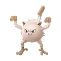 Mankey - Pokémon GO Wiki