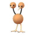 Doduo - Pokémon GO Wiki