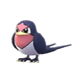 Taillow - Pokémon GO Wiki