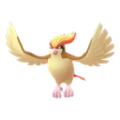 Pidgeot - Pokémon GO Wiki