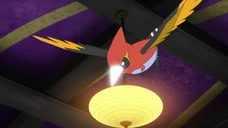 Peck - Pokémon GO Wiki