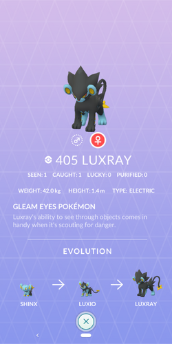 Luxio Pokemon Evolution