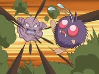 Sludge - Pokémon GO Wiki