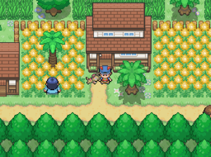 Ibaro | Pokémon Honor and Glory Wiki | Fandom