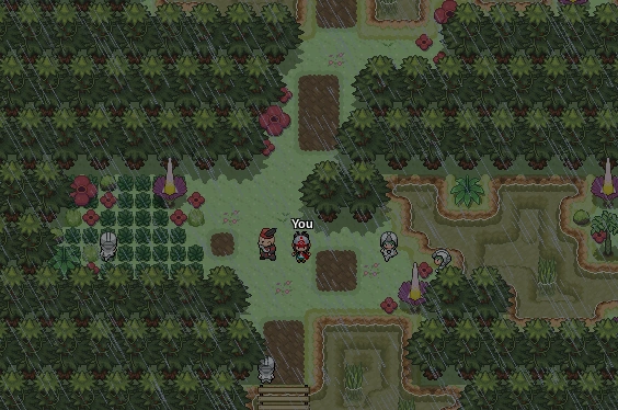 Route 14 | PokemonLegends Wiki | Fandom