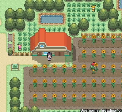Route 3 | PokemonLegends Wiki | Fandom