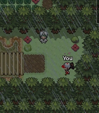 Route 14 | PokemonLegends Wiki | Fandom