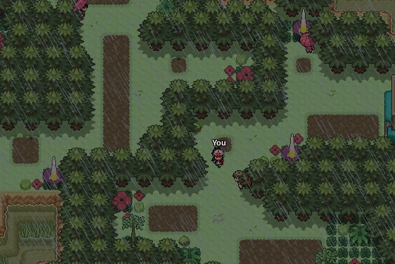 Route 15 | PokemonLegends Wiki | Fandom