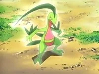 Marco | Wiki Pokémon: Leyendas | Fandom