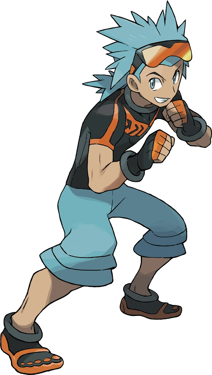 Brawly | Pokémon Let's Play Wiki | Fandom