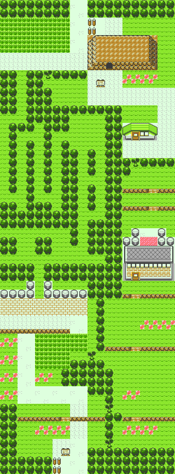 Appendix:Pokémon Crystal Walkthrough/Route 2 | Pokémon Let's Play Wiki ...