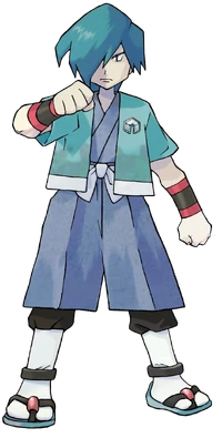Falkner | Pokémon Let's Play Wiki | Fandom