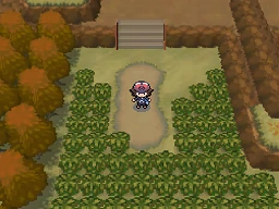 Appendix:Pokémon Black and White Walkthrough/Route 6 | Pokémon Let's ...