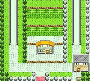 Appendix:Pokémon Gold and Silver Walkthrough/Route 5 | Pokémon Let's ...