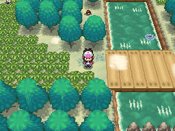 Appendix:Pokémon Black and White Walkthrough/Route 6 | Pokémon Let's ...